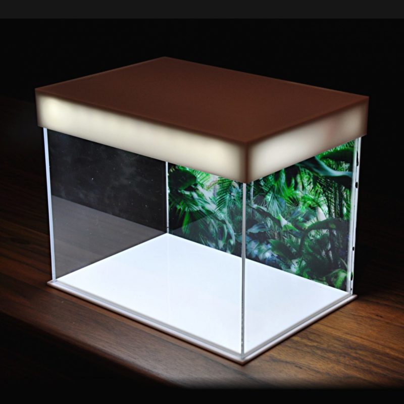 Displays & Bases Archives - Miniature Stories
